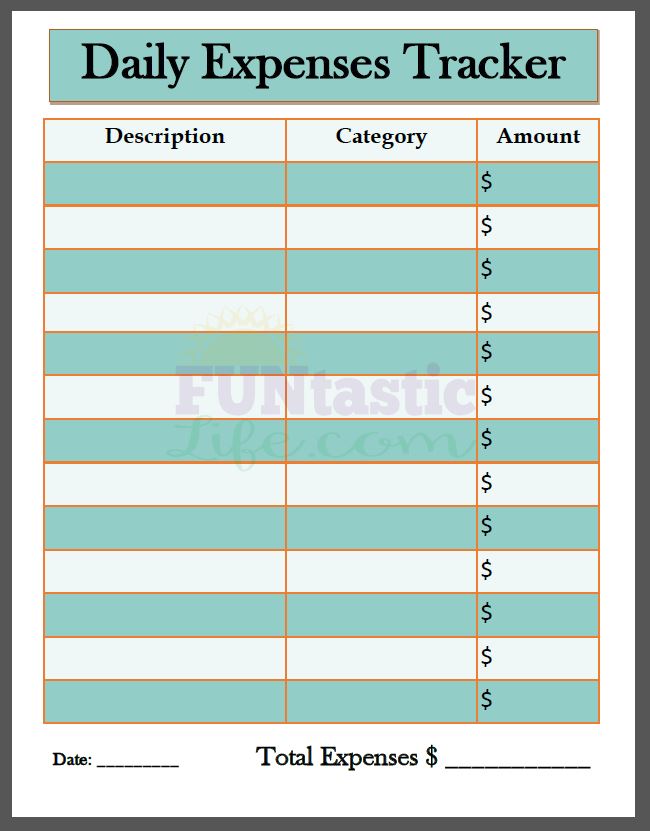 Daily Expense Tracker Printable Template Business PSD Excel Word PDF