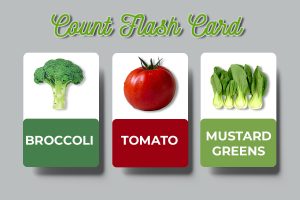 10+ Flash Card Template Photoshop | Template Business PSD, Excel, Word, PDF