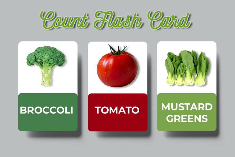 10+ Flash Card Template Photoshop | Template Business PSD, Excel, Word, PDF