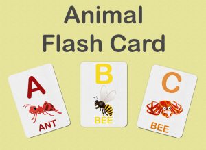 10+ Flash Card Template Photoshop | Template Business PSD, Excel, Word, PDF