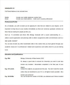 19+ CV Format Template and How to Compose the Right Structure ...