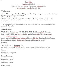 20+ Resume Format Template Guide and Styles | Template Business PSD ...