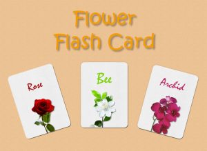 10+ Flash Card free psd template | Template Business PSD, Excel, Word, PDF