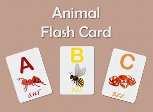 10+ Flash Card free psd template | Template Business PSD, Excel, Word, PDF