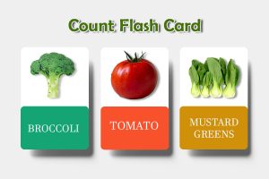 10+ Flash Card free psd template | Template Business PSD, Excel, Word, PDF