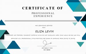 10+ Experience Certificate Template | Template Business PSD, Excel ...