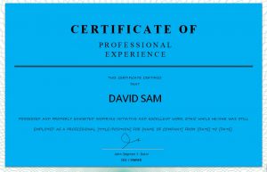 10+ Experience Certificate Template | Template Business PSD, Excel ...