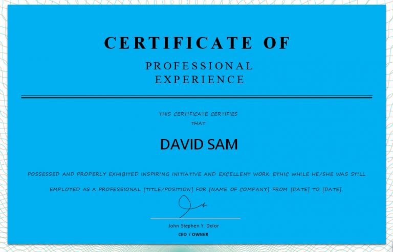 10+ Experience Certificate Template | Template Business PSD, Excel ...