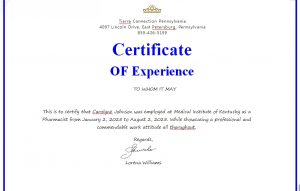 10+ Experience Certificate Template | Template Business PSD, Excel ...