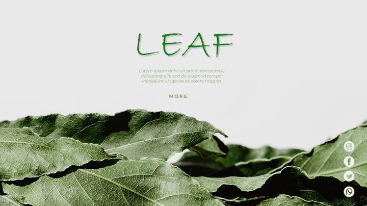10+ Leaf psd template free | Template Business PSD, Excel, Word, PDF