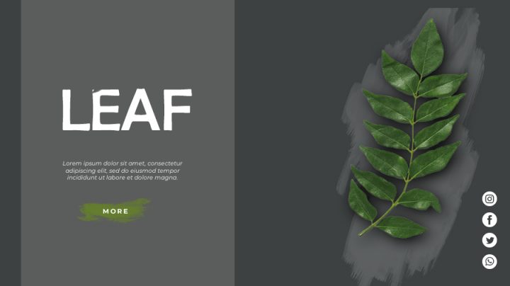10+ Leaf psd template free | Template Business PSD, Excel, Word, PDF