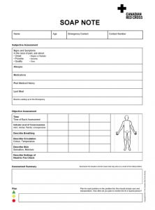 5+ Soap Note Template | Template Business PSD, Excel, Word, PDF