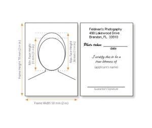 4+ Passport Photo Template Sample | Template Business PSD, Excel, Word, PDF