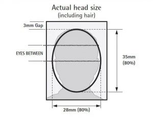 4+ Passport Photo Template Sample | Template Business PSD, Excel, Word, PDF