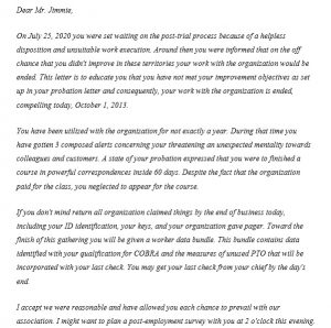 A Complete Guide Of Probation Termination Letter | Template Business ...