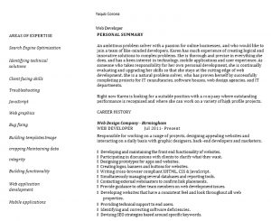 10+ Web Developer Resume | Template Business PSD, Excel, Word, PDF