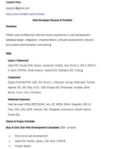 10+ Web Developer Resume | Template Business PSD, Excel, Word, PDF