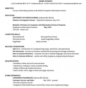 6+ Software Engineer Resume | Template Business PSD, Excel, Word, PDF