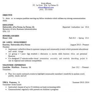 10+ Student Curriculum Vitae Template | Template Business PSD, Excel ...