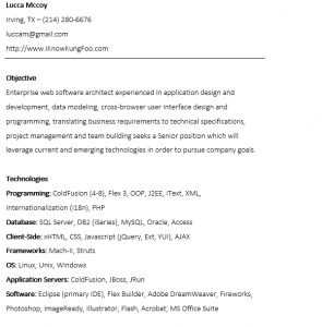 10+ Web Developer Resume | Template Business PSD, Excel, Word, PDF