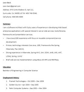 10+ Web Developer Resume | Template Business PSD, Excel, Word, PDF