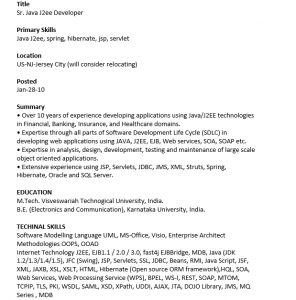 10+ Java Developer Resume Template | Template Business PSD, Excel, Word ...