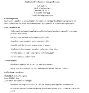 10+ Professional Manager Resume Samples | Template Business PSD, Excel ...