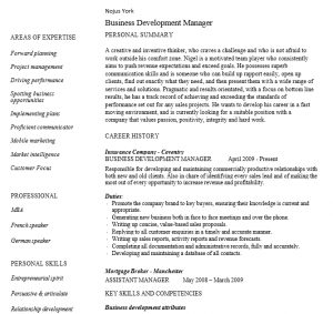 10+ Professional Manager Resume Samples | Template Business PSD, Excel ...