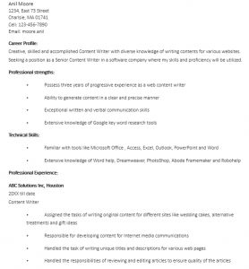 10+ Writer Resumes Sample | Template Business PSD, Excel, Word, PDF