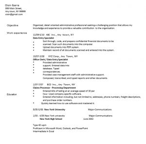 6+ Data Entry Resume | Template Business PSD, Excel, Word, PDF