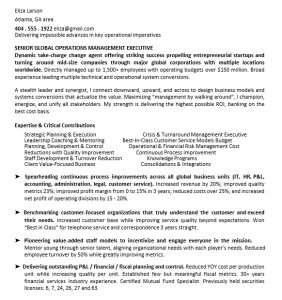 4+ CEO Resume Template | Template Business PSD, Excel, Word, PDF