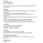 10+ Java Developer Resume Template | Template Business PSD, Excel, Word ...