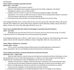 10+ Java Developer Resume Template | Template Business PSD, Excel, Word ...