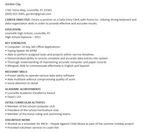 6+ Data Entry Resume | Template Business PSD, Excel, Word, PDF