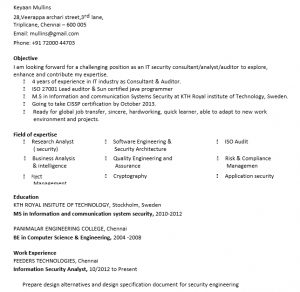 10+ IT Resume | Template Business PSD, Excel, Word, PDF