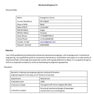 10+ Engineer Curriculum Vitae Template | Template Business PSD, Excel ...